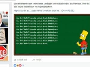 HC Strache als "Arsch" bezeichnet: SPÖler Baumgärtel verurteilt, bleibt ...