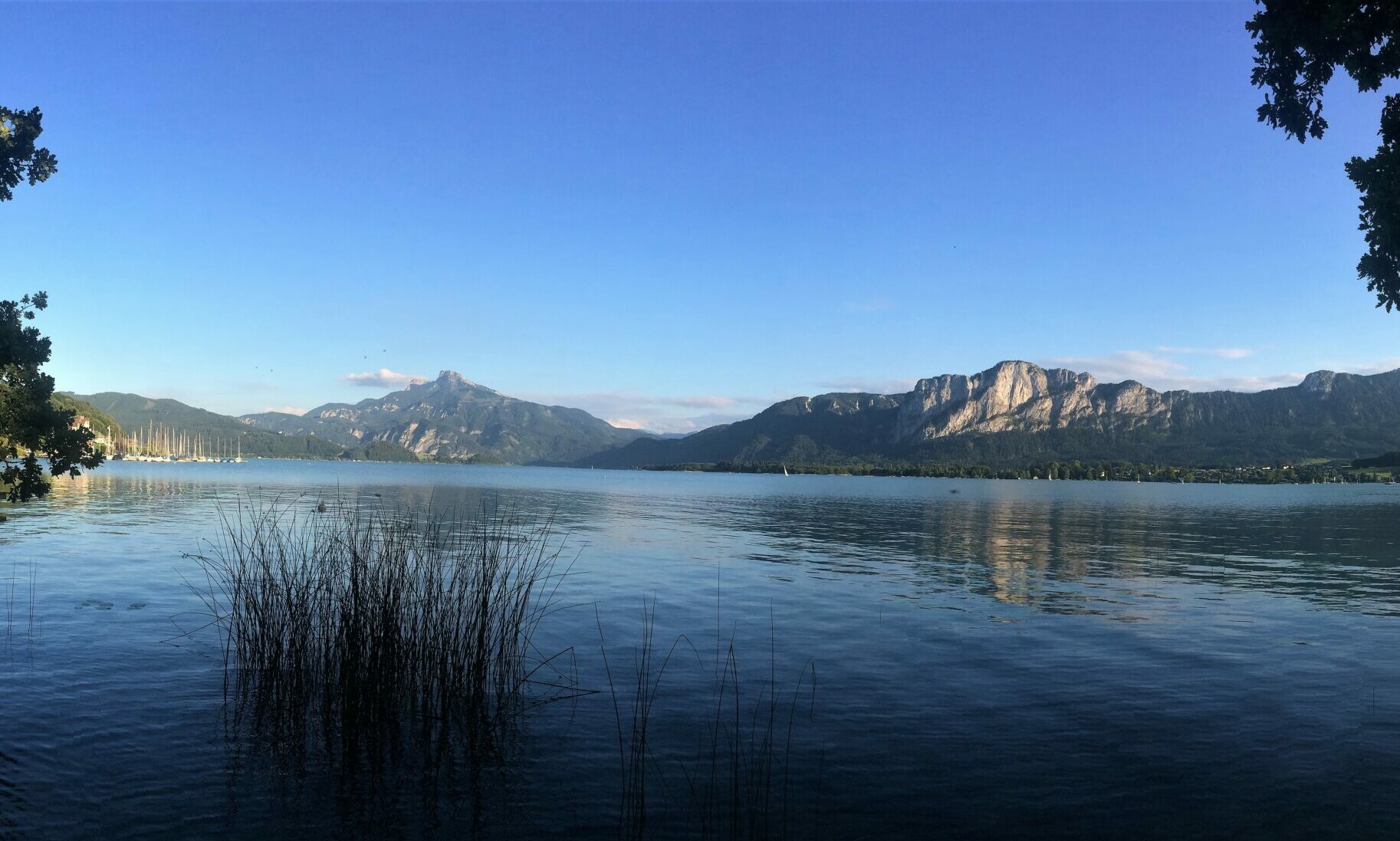 Mondsee-Streit: ÖVP-Bürgermeister irrt sich, Mainstream-Medien ...